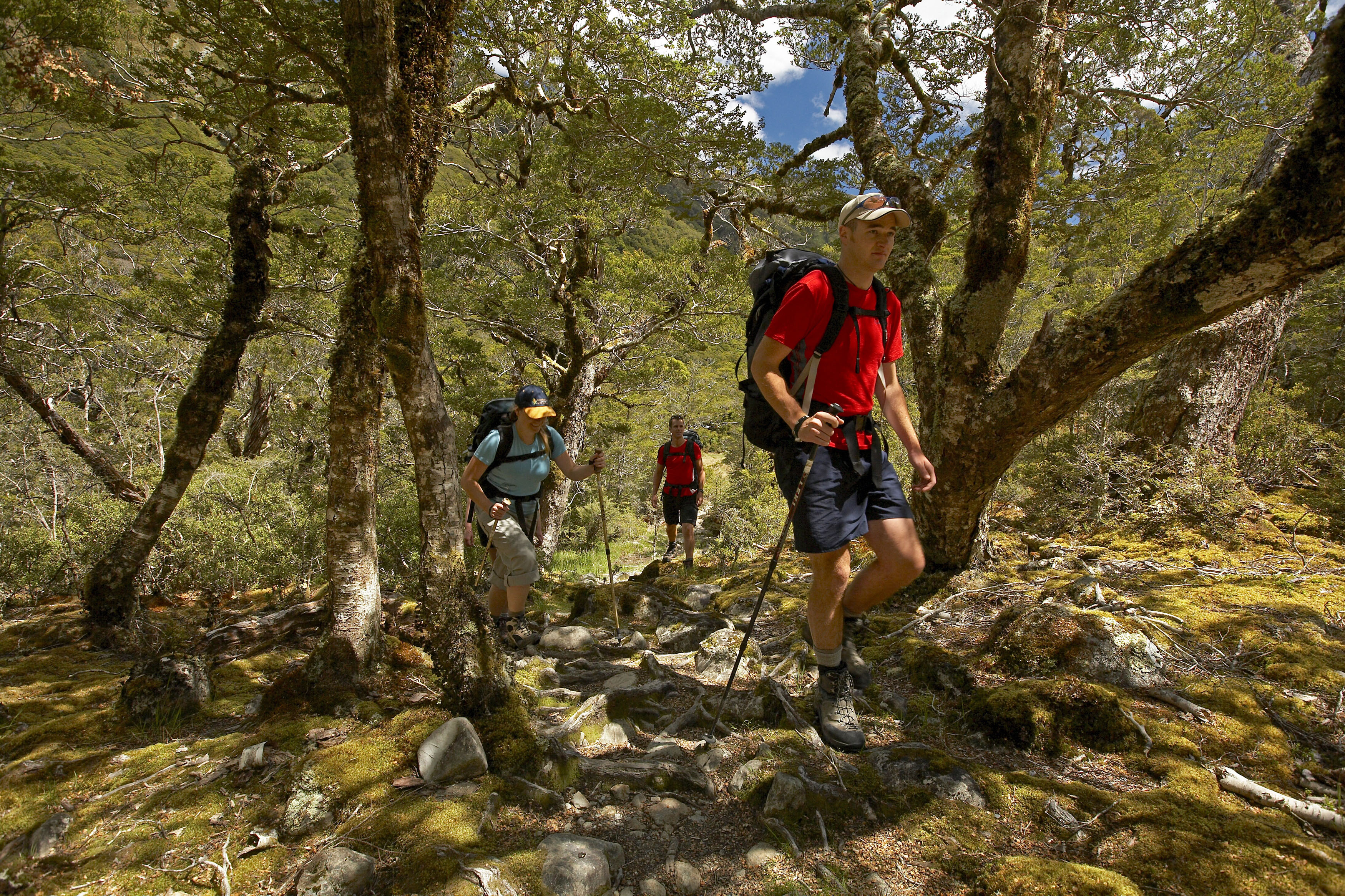Ultimate Hikes | Hermitage Hotel